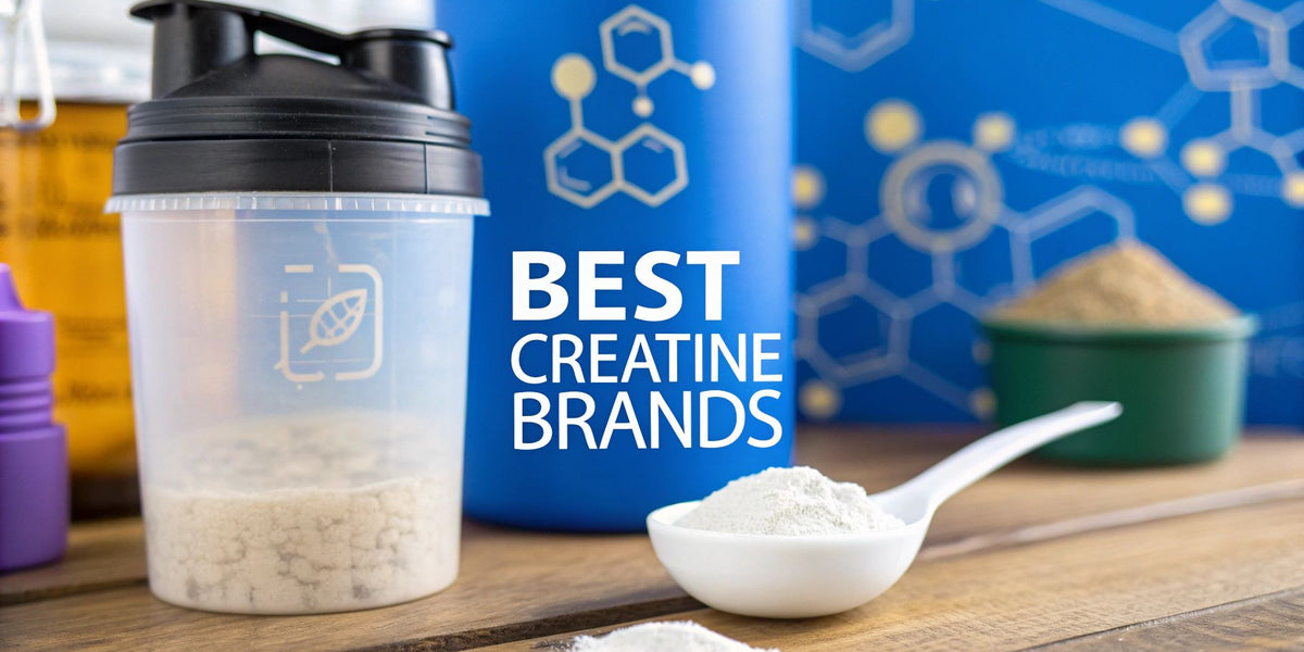 The Ultimate Guide to the Best Creatine Monohydrate Brands in Canada ...